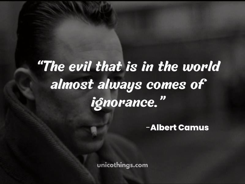 87 Albert Camus Quotes To Calm Your Mind From Overthinking