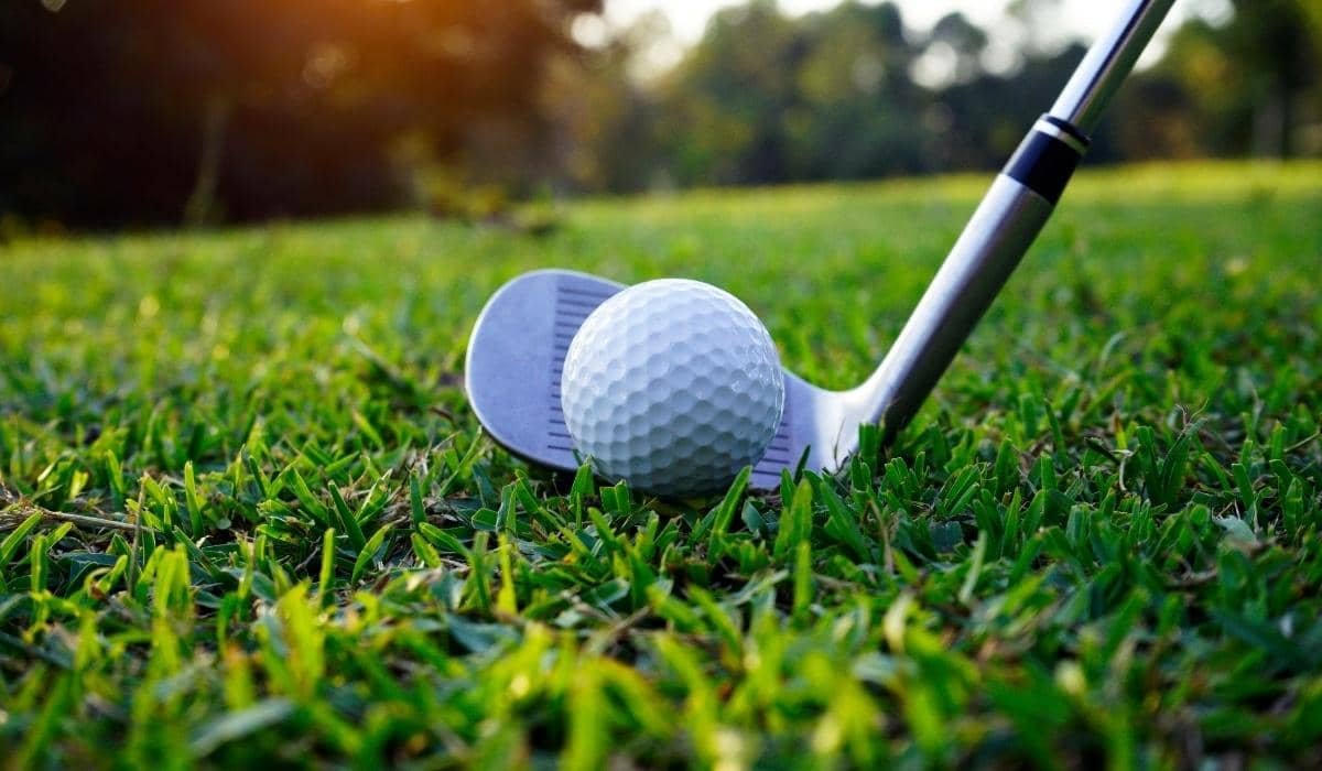 Top 39 Inspirational Golf Quotes On Success (2024)
