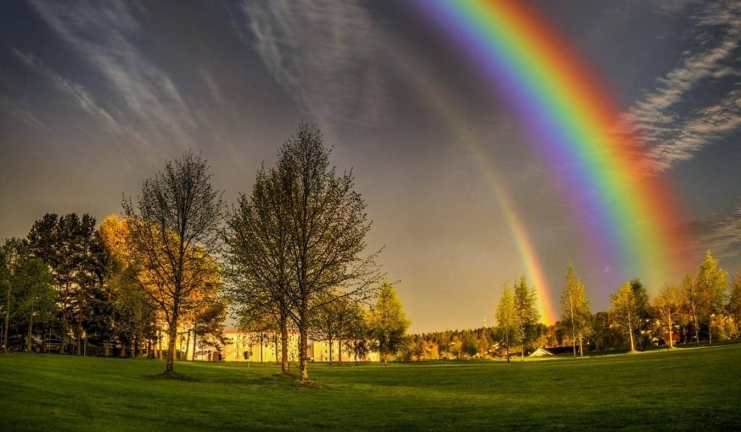 Top 47 Rainbow Quotes To Lift Your Spirits High (2024)
