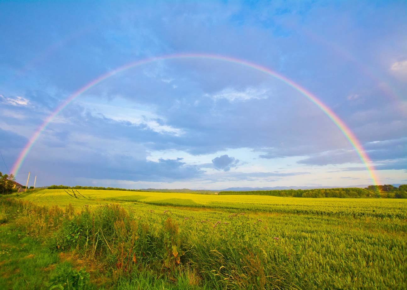 Top 47 Rainbow Quotes To Lift Your Spirits High (2023)