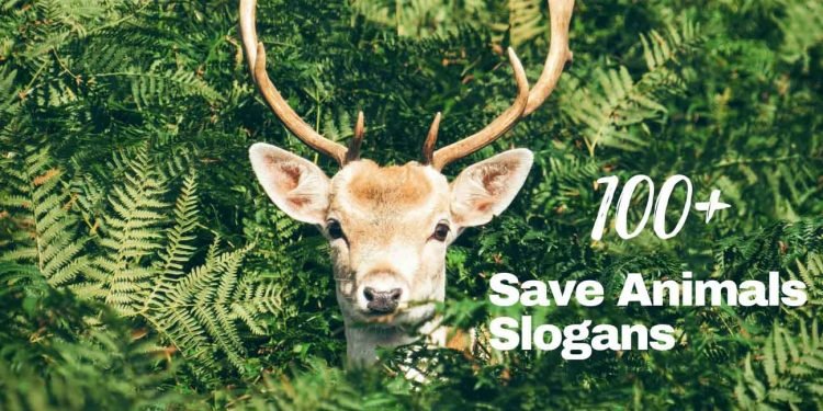100+ Latest & Catchy Save The Animals Slogans (2021)