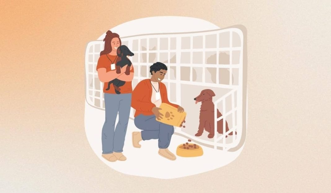 125+ Latest Animal Shelter Slogans With Taglines