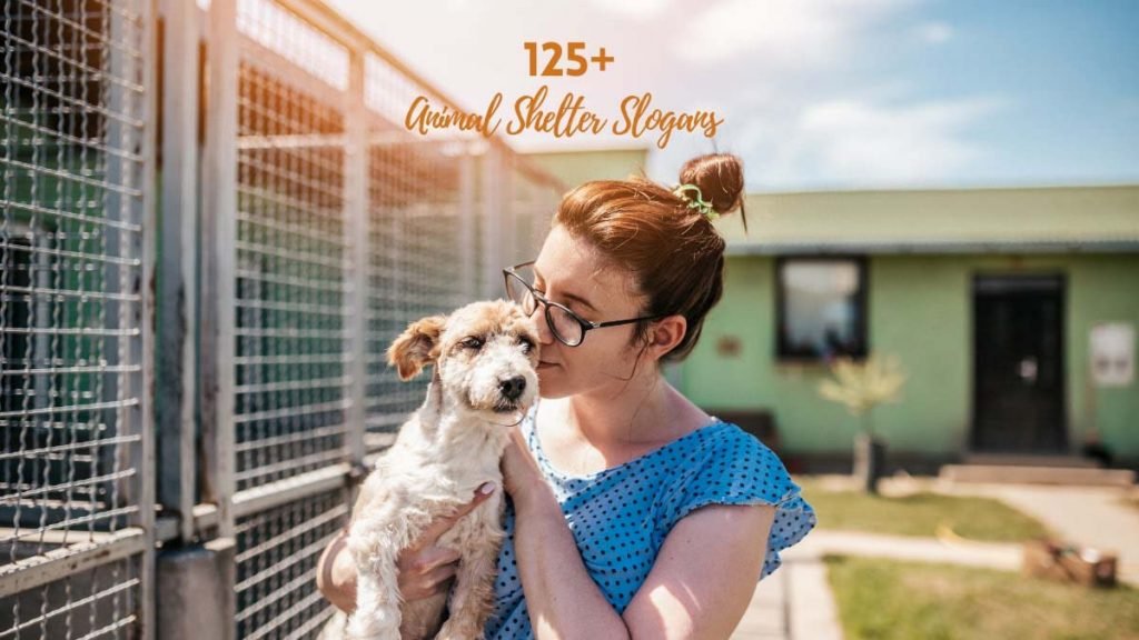 125 Latest Animal Shelter Slogans With Taglines 2023 