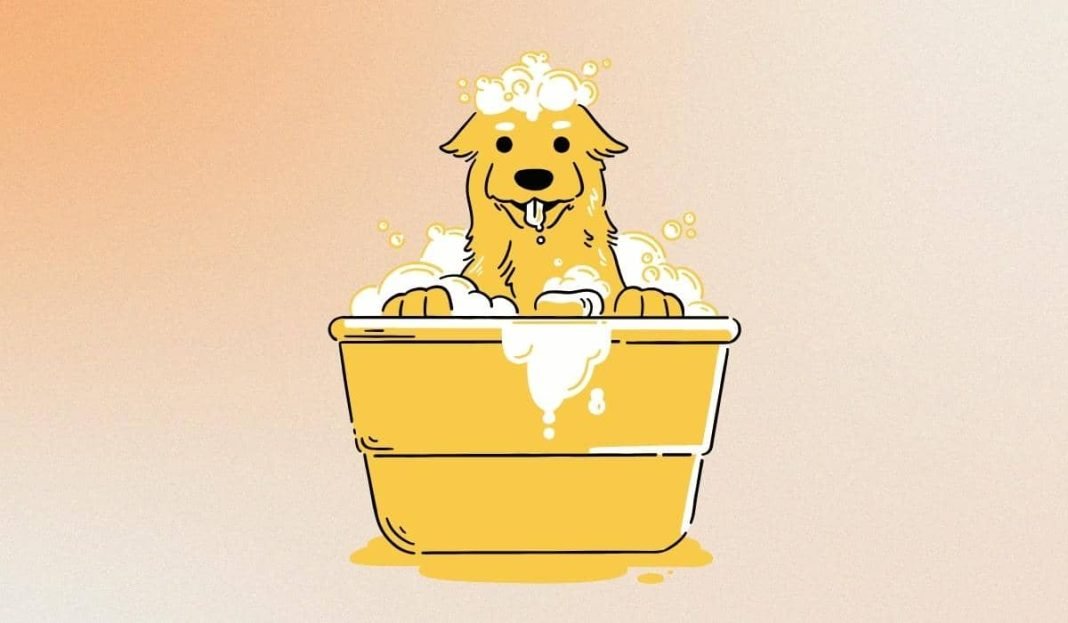 Top 83 Catchy Dog Grooming Slogans With Taglines