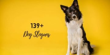 139+ Latest & Catchy Dog Slogans With Taglines (2021)