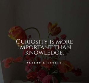 51 Most Inspiring Quotes On Curiosity (2022 Updated)