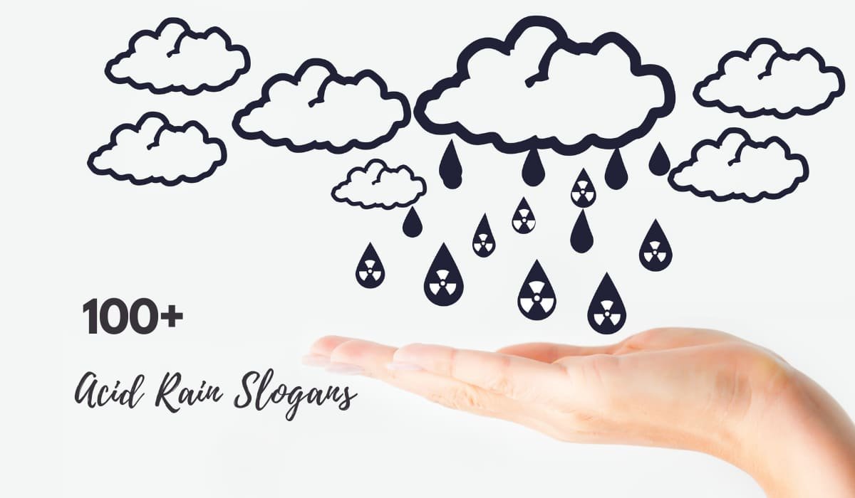 100+ Catchy Acid Rain Slogans With Taglines (2023)