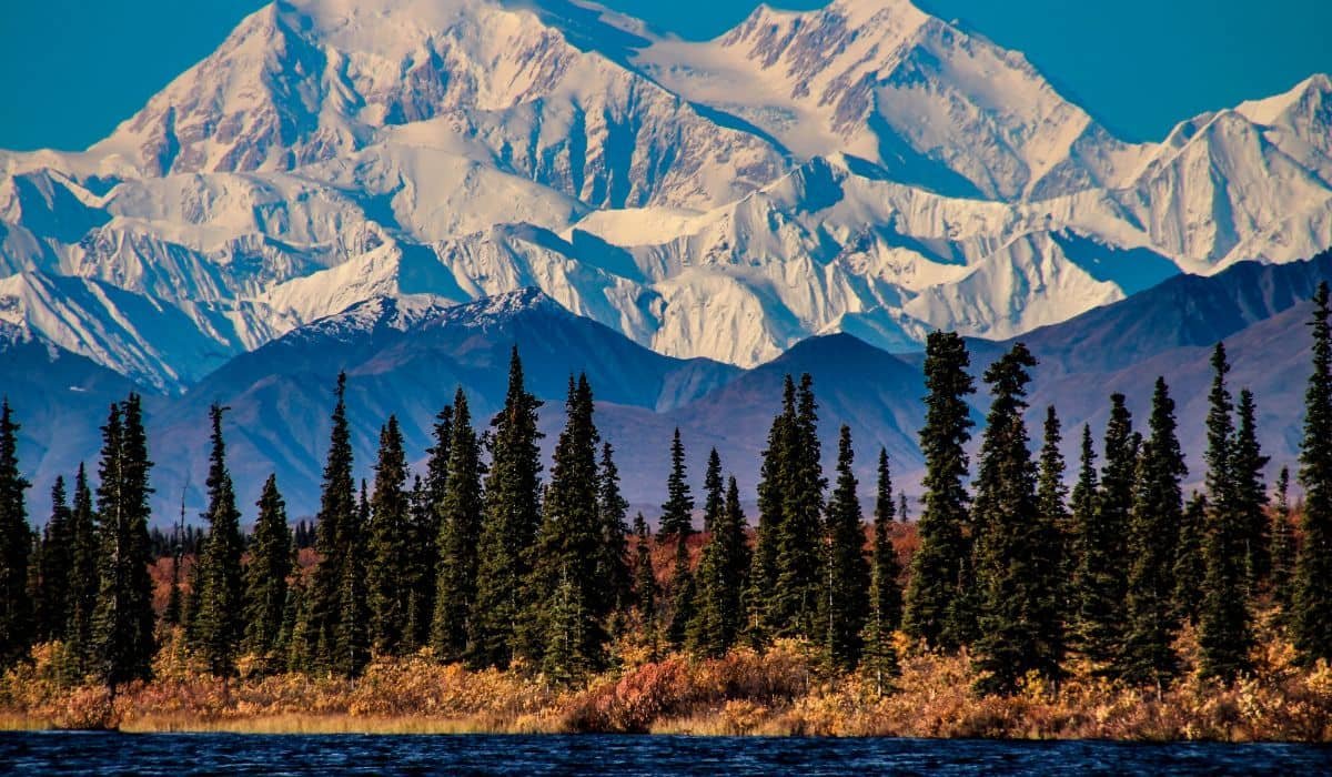 37 Catchy Alaska Slogans, Motto & Taglines
