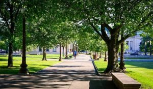 90+ Cool and Catchy Park Names Ideas