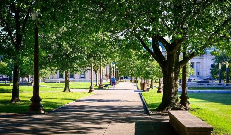 90+ Cool and Catchy Park Names Ideas