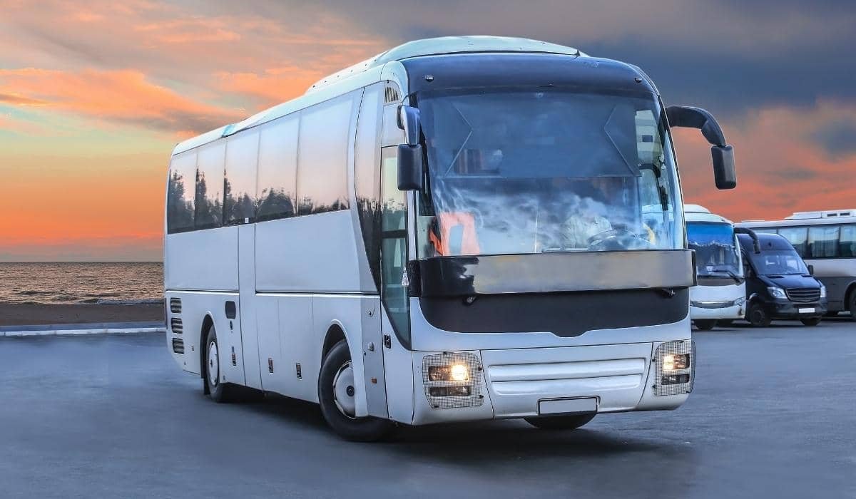255+ Bus Company Name Ideas to Grow Your Travel Business