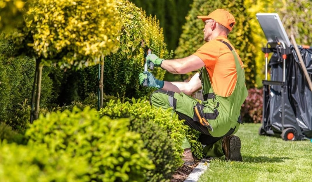 273 Landscaping Company Name Ideas That Grab Attention