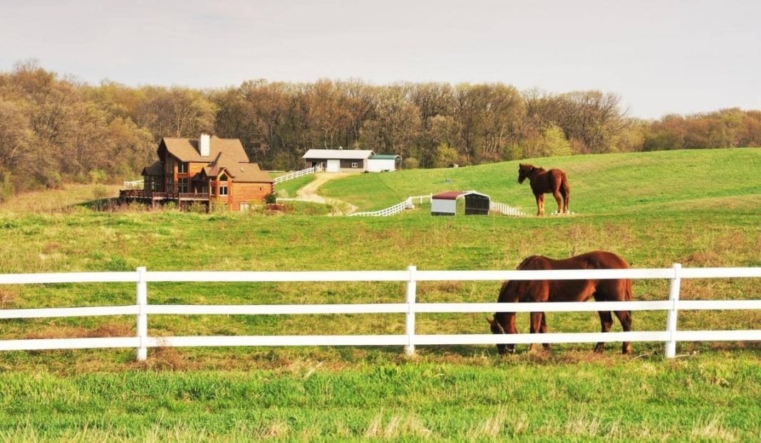 Top 200 Fantastic Ranch Names Ideas