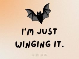95+ Bat Puns That Are Enough to Sink Your Fangs