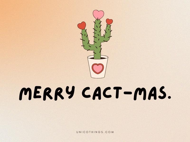 87 Cactus Puns That Are Funny to Make You Laugh