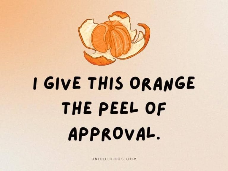 65+ Orange Puns That Are Perfact to Start Your Day