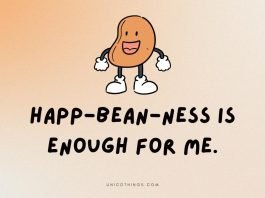 75+ Bean Puns That Are Perfact to Get Some Laughs