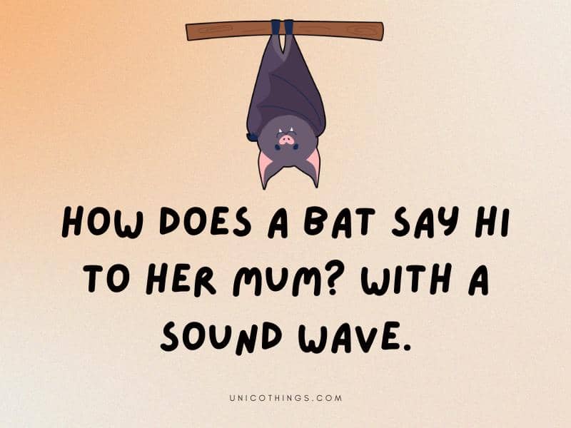 95+ Bat Puns That Are Enough to Sink Your Fangs