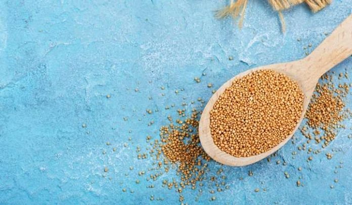 47 Funny Mustard Puns That Will Make You Laugh (2023)