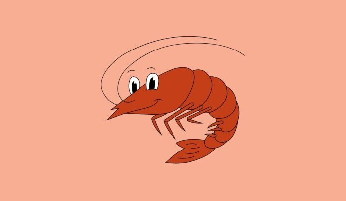 45+ Shrimp Puns That Are Hilarious to Read