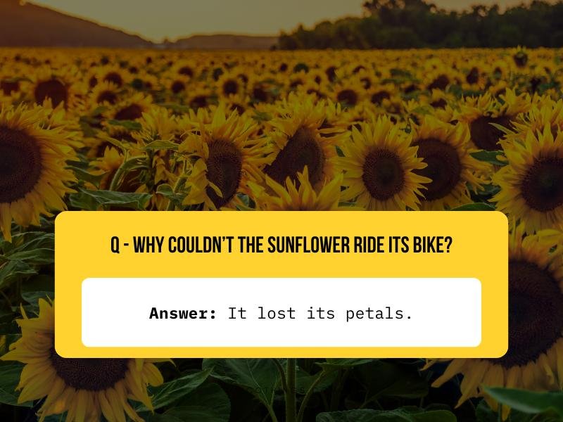 103 Very Good Jokes That Will Make You Laugh Hard