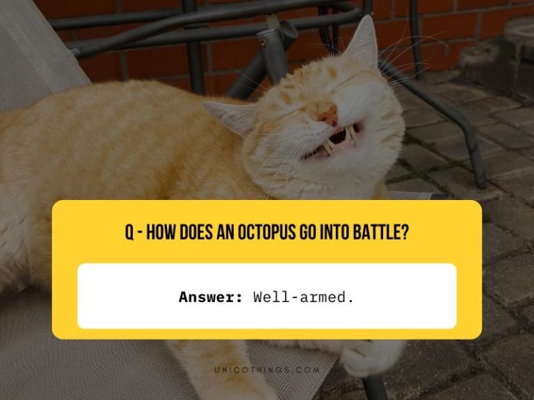 103 Very Good Jokes That Will Make You Laugh Hard