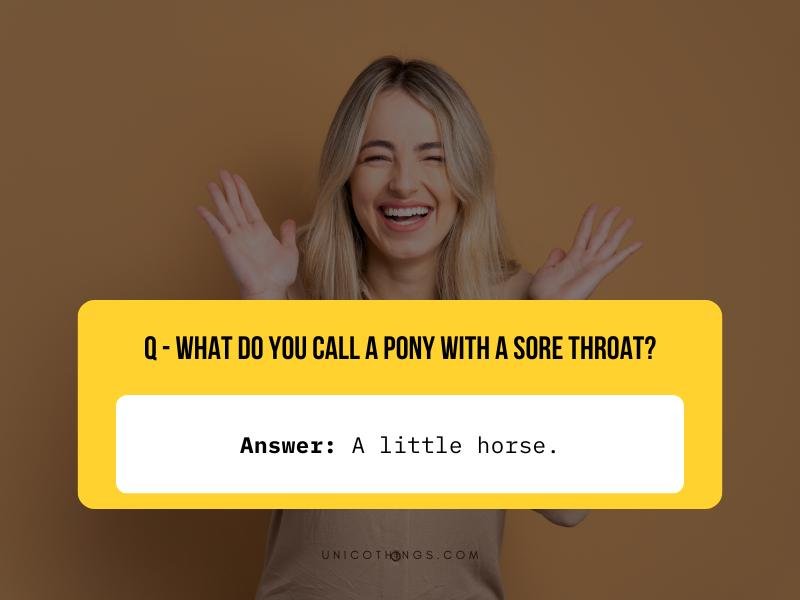 103 Very Good Jokes That Will Make You Laugh Hard