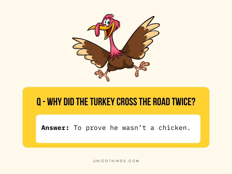 65+ Turkey Jokes That Will Make Your Belly Laughs
