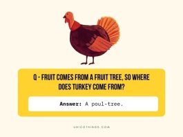 65+ Turkey Jokes That Will Make Your Belly Laughs