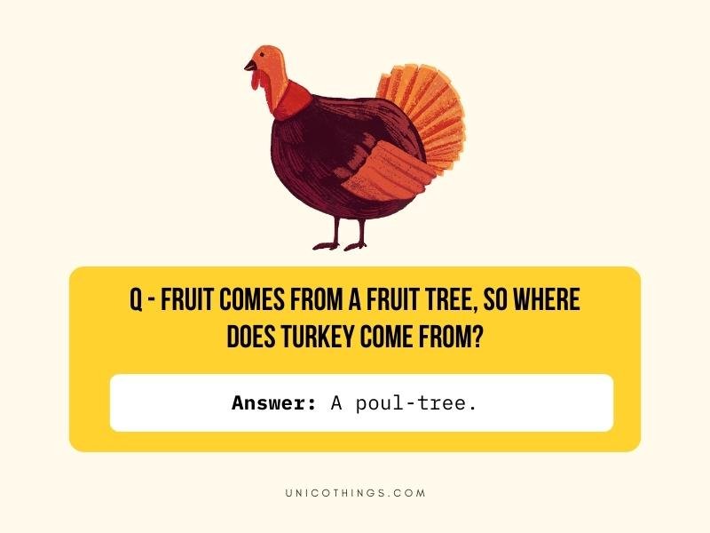 65+ Turkey Jokes That Will Make Your Belly Laughs