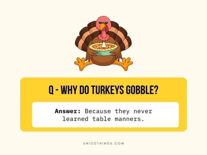 65+ Turkey Jokes That Will Make Your Belly Laughs