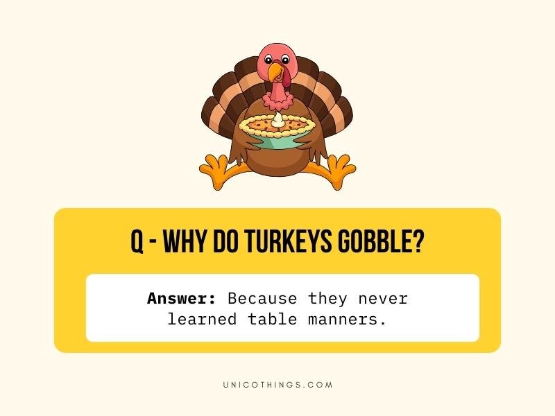 65+ Turkey Jokes That Will Make Your Belly Laughs