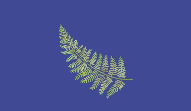 53+ Funny Fern Puns That Will Spread Laughs