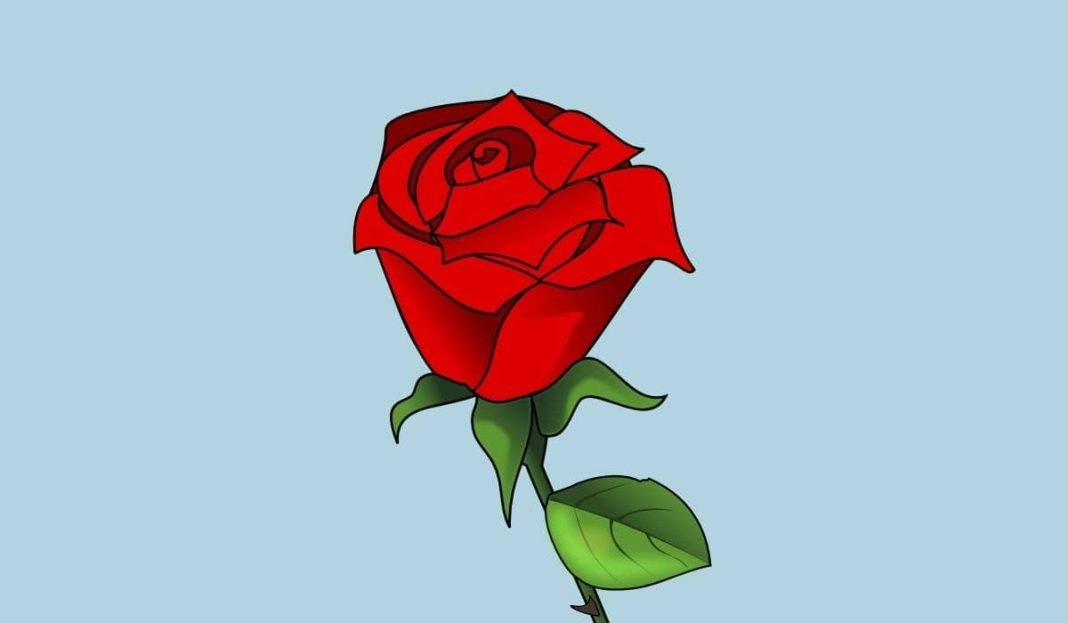 Top 100+ Red Rose Caption for Instagram (2024)