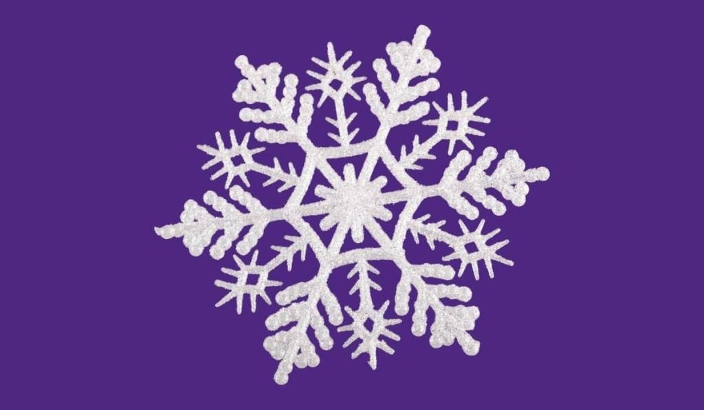 90+ Best & Catchy Snowflake Instagram Captions (2024)