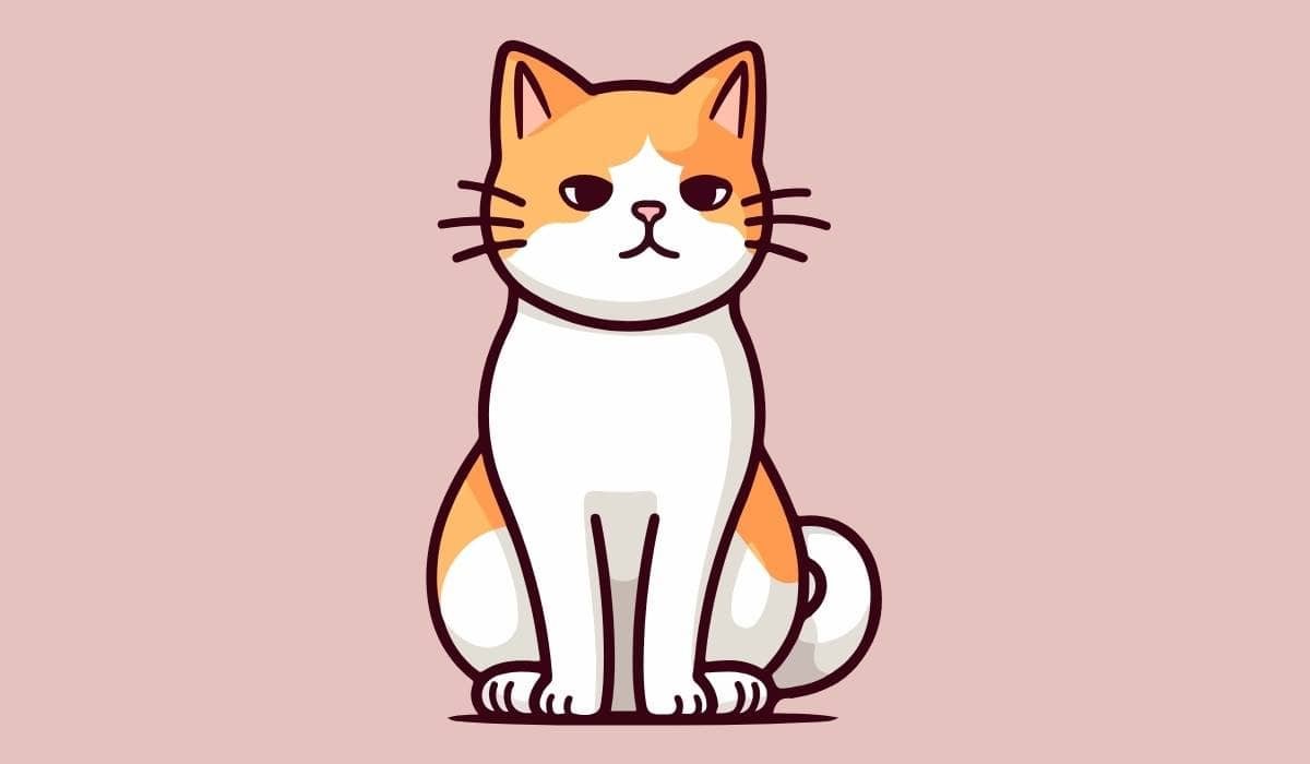 Top 163 Best Cat Instagram Captions (2024)