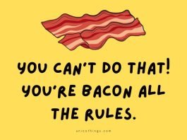 53 Funny Bacon Puns That Are Hilarious to Read