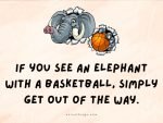 57 Basketball Puns to Spread More Laughs on the Match