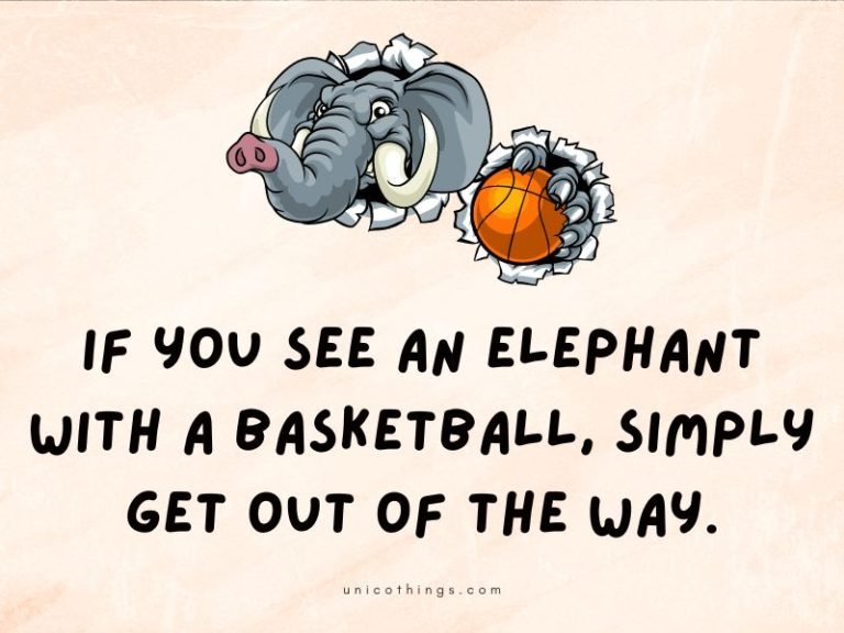 57 Basketball Puns to Spread More Laughs on the Match