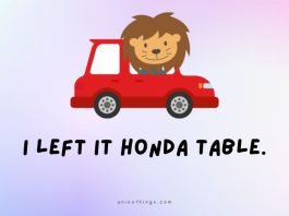 50+ Best Car Puns to Fuel Your Instant Laughs