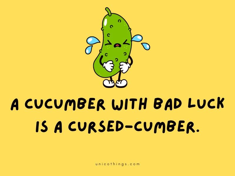 55+ Funny Cucumber Puns That Are Really Cu-cumbersome