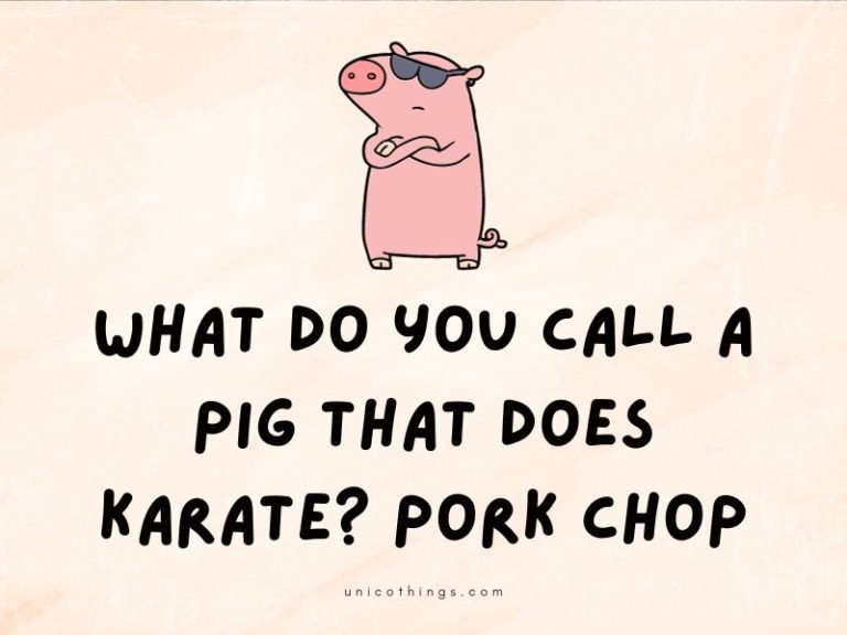41+ Funny Cute Puns to Make You Giggling Out