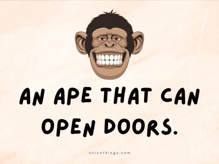 57 Monkey Puns That Are Ape-solutely Funny
