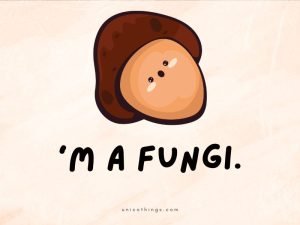 69 Mushroom Puns That Are Hilarious to Read