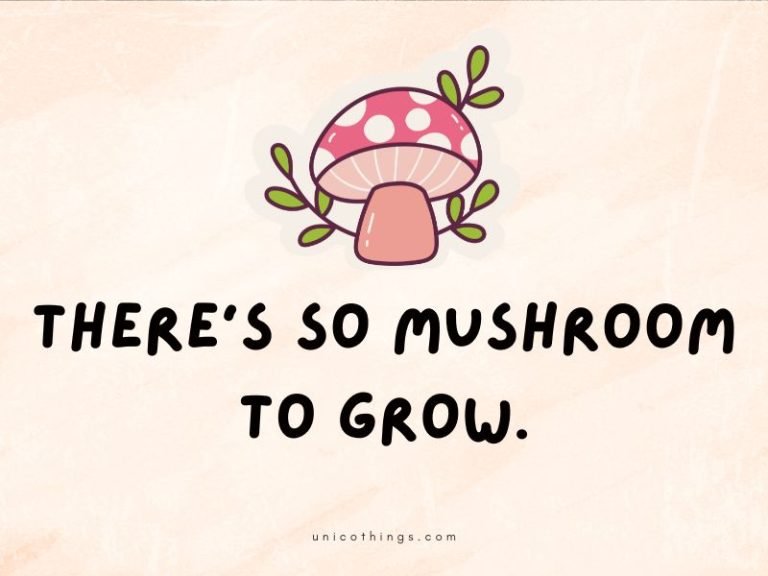 69 Mushroom Puns That Are Hilarious to Read