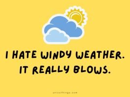 55+ Best Weather Puns That Will Make You Laugh