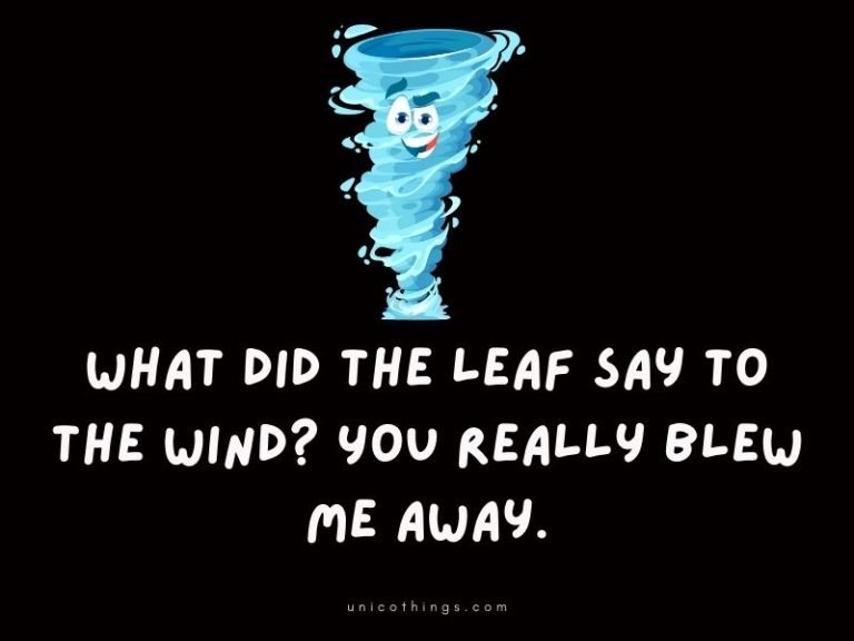 55 Best Wind Puns That Are Enough to Blow You Away