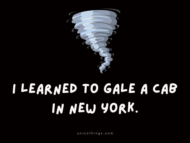 55 Best Wind Puns That Are Enough to Blow You Away
