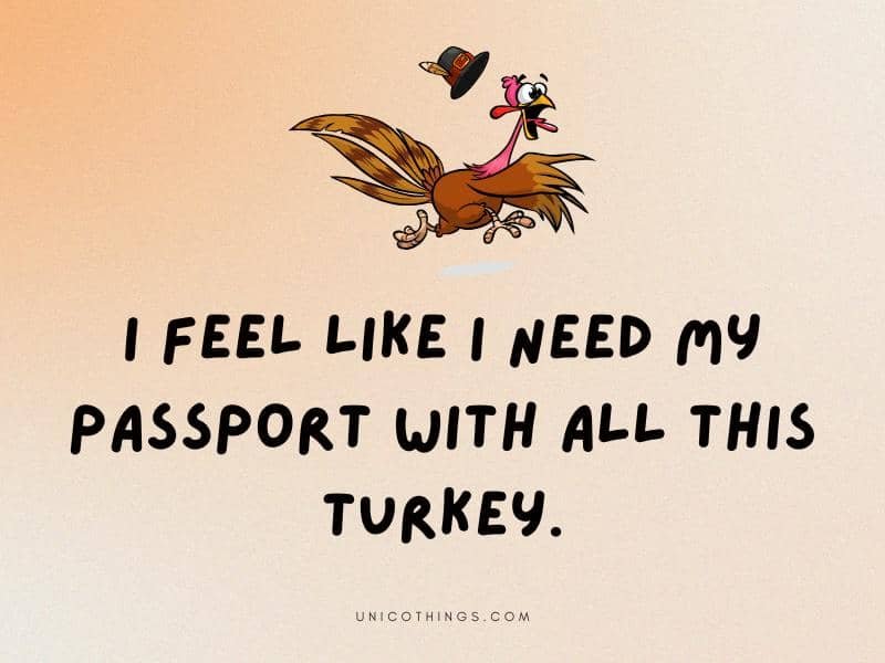 93 Funny Turkey Puns That Are Hilarious to Read