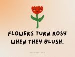 163 Funny Rose Puns That Are Hilarious to Read